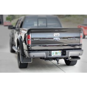 2010 - 2014 Ford Raptor F-150 Carbon Fiber Front Door Panel Inserts ...